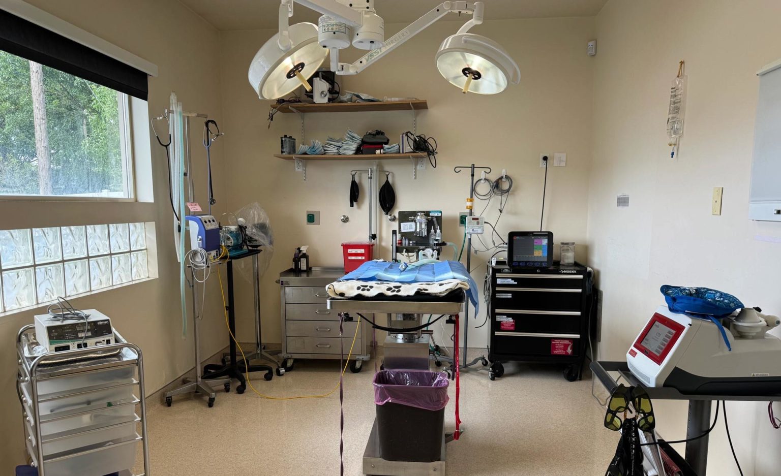 How to Value a Veterinary Practice | Blue River PetCare